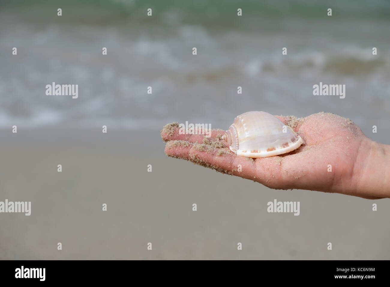 Conch shell hands hi-res stock photography and images - Alamy