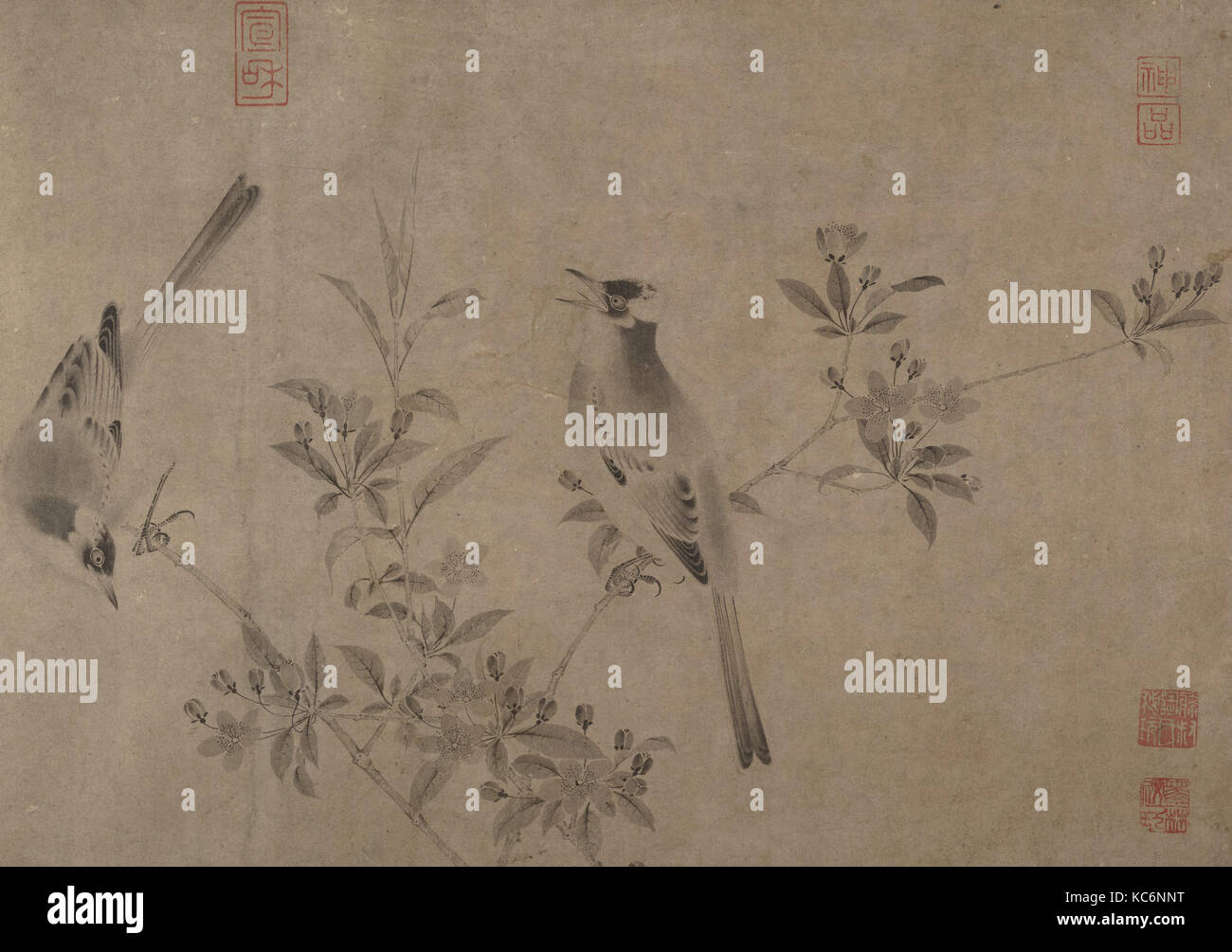 Chinese Bulbuls on Flowering Cherry-Apple, Unidentified Artist Stock ...
