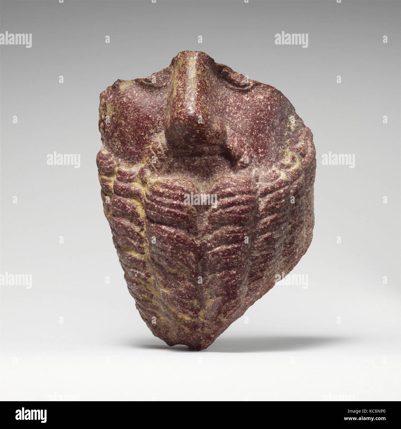 Fragmentary head hi-res stock photography and images - Alamy