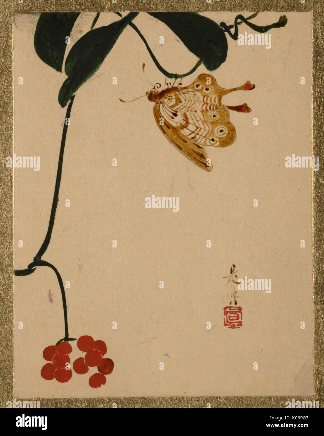 Red Berry Plant and Butterfly, Edo period (1615–1868), Japan, Album ...