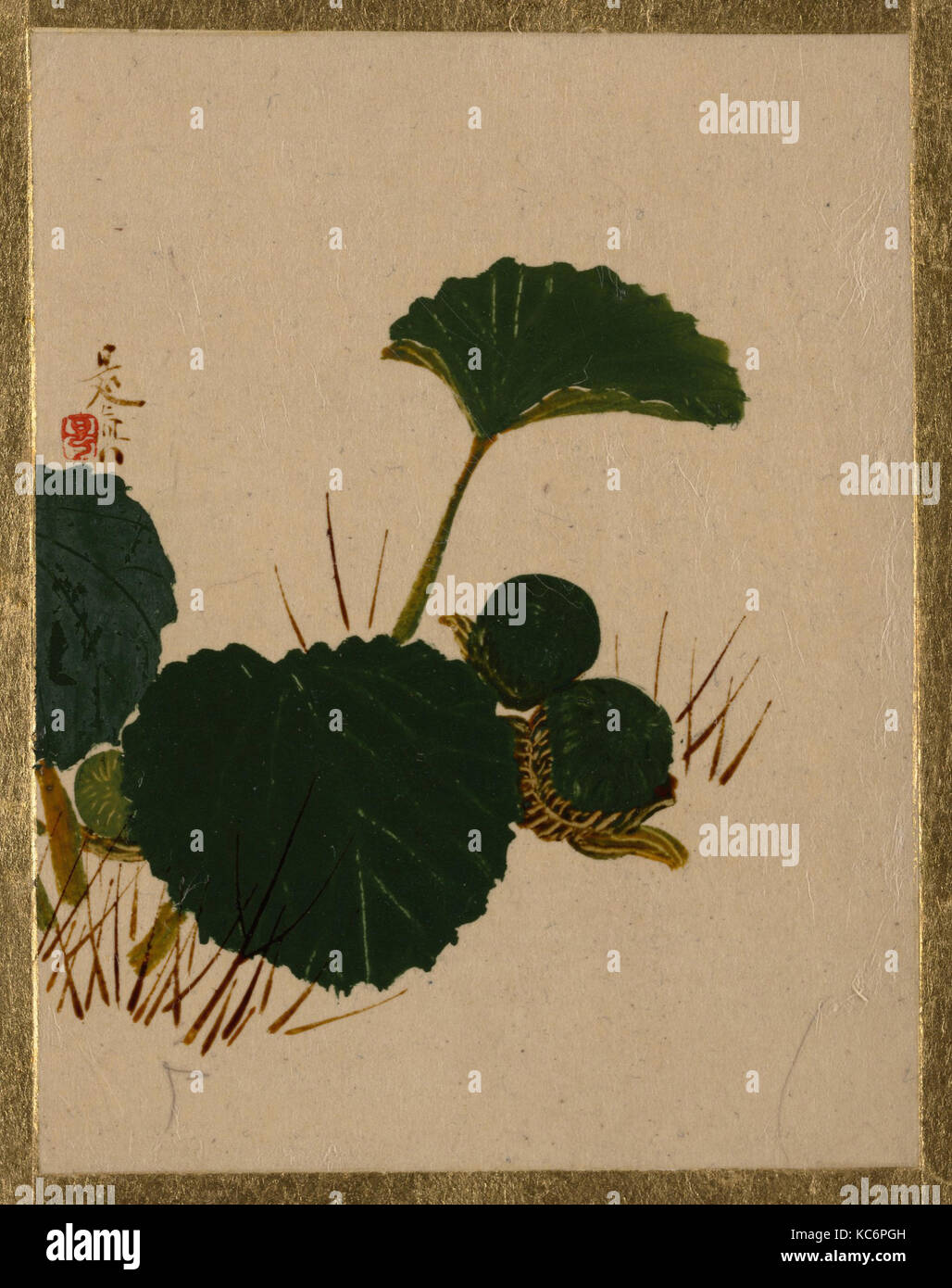 Worm on Green Leaved Plant, Edo period (1615–1868), Japan, Album leaf ...
