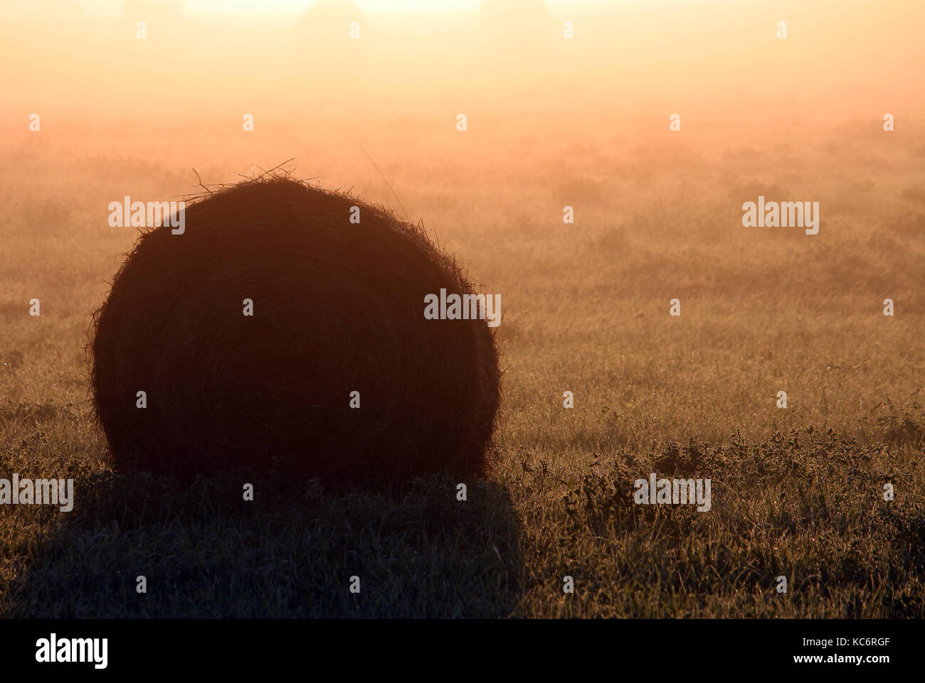 A hay bale casts a shadow in a farmer's field at sunrise Stock Photo ...