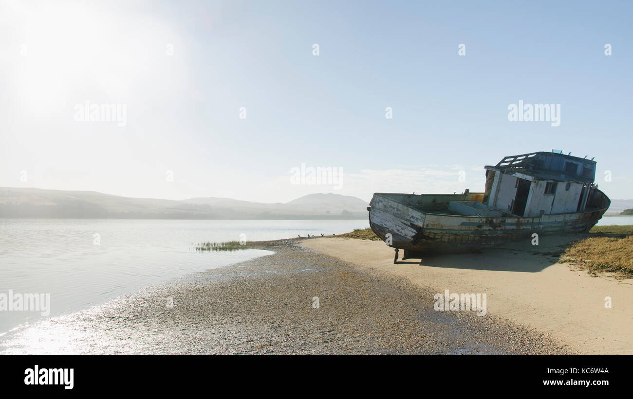 USA, California, Inverness, Point Reyes, Tomales Bay, Shipwreck on ...