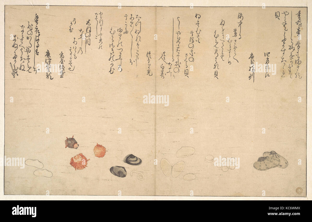 Shells under Water, Edo period (1615–1868), 1790, Japan, Polychrome ...