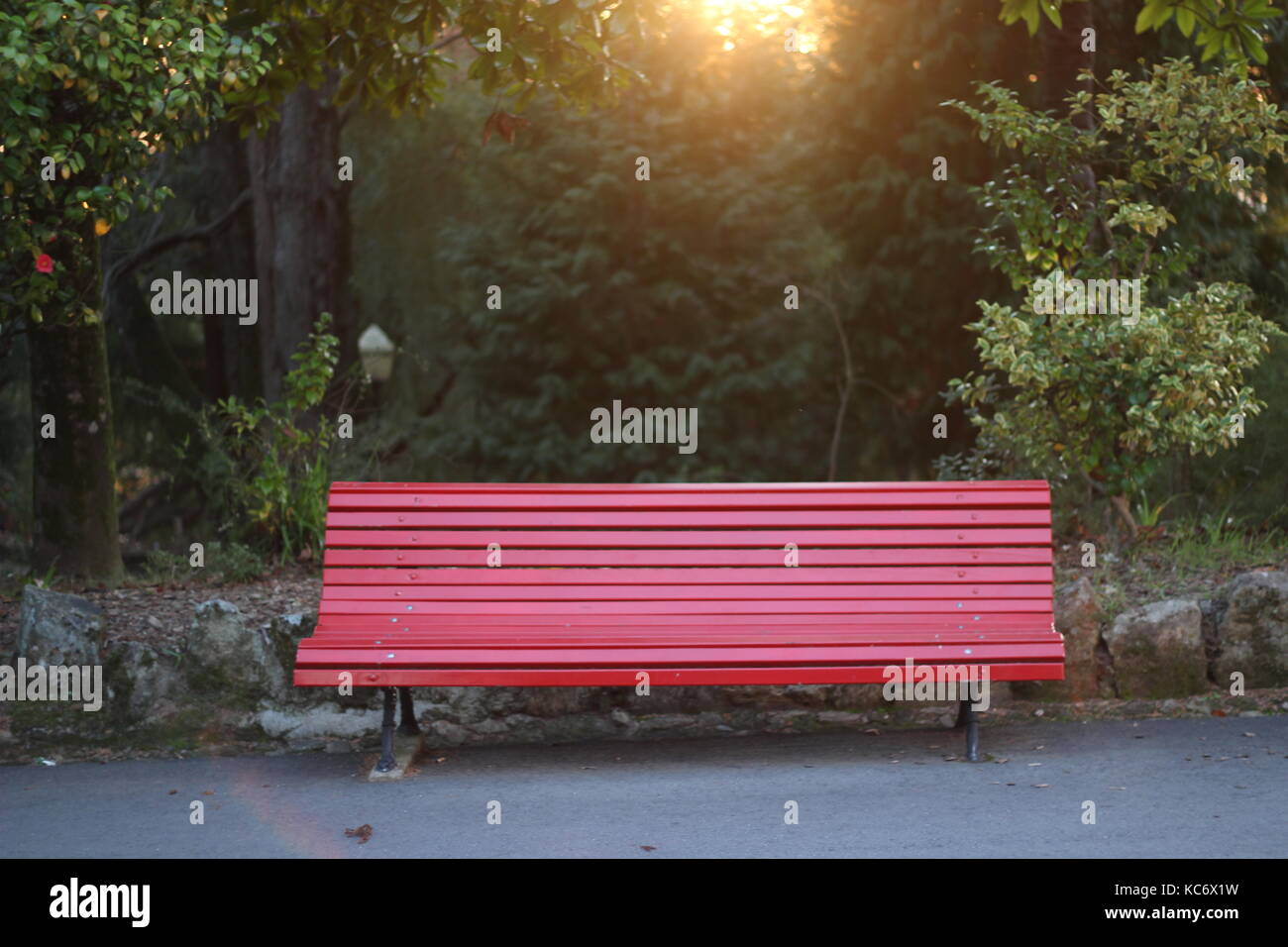 Captured moments hi-res stock photography and images - Alamy