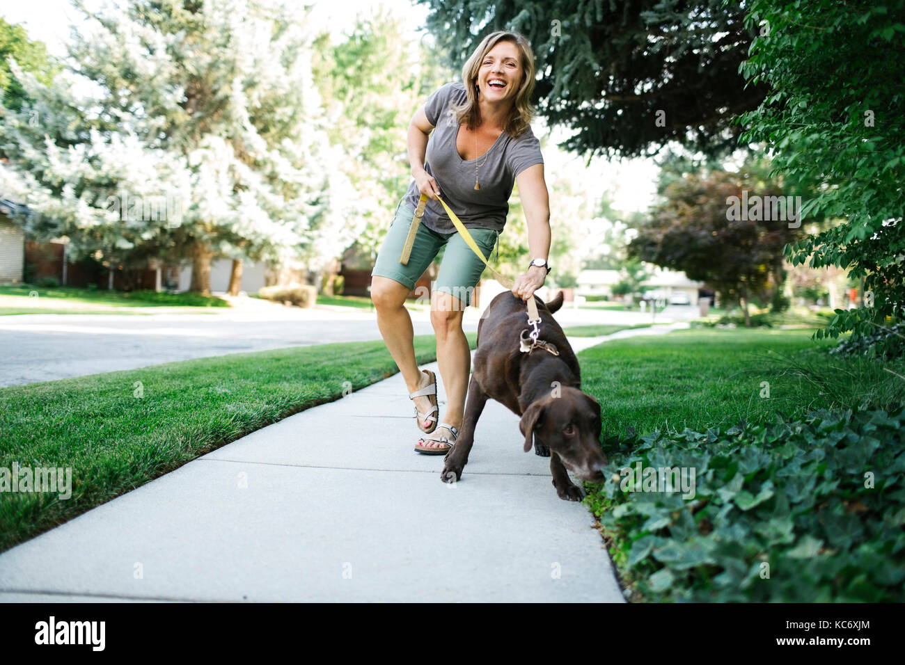 Woman walking with Labrador Retriever Stock Photo - Alamy