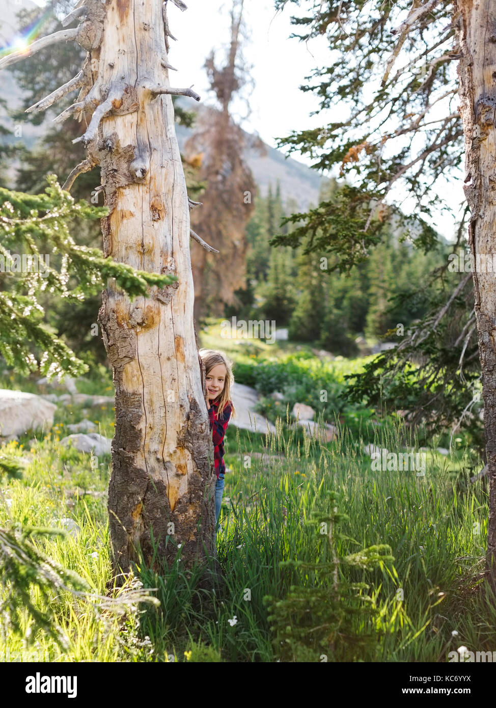 Boy hiding behind tree hi-res stock photography and images - Alamy