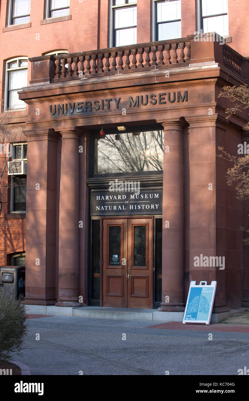 Harvard Museum of Natural History Stock Photo - Alamy