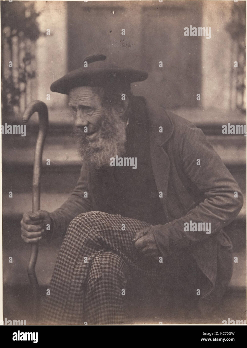 Old Tom, ca. 1856–59, Salted paper print, 20 x 15.1 cm (7 7/8 x 5 15/16 ...