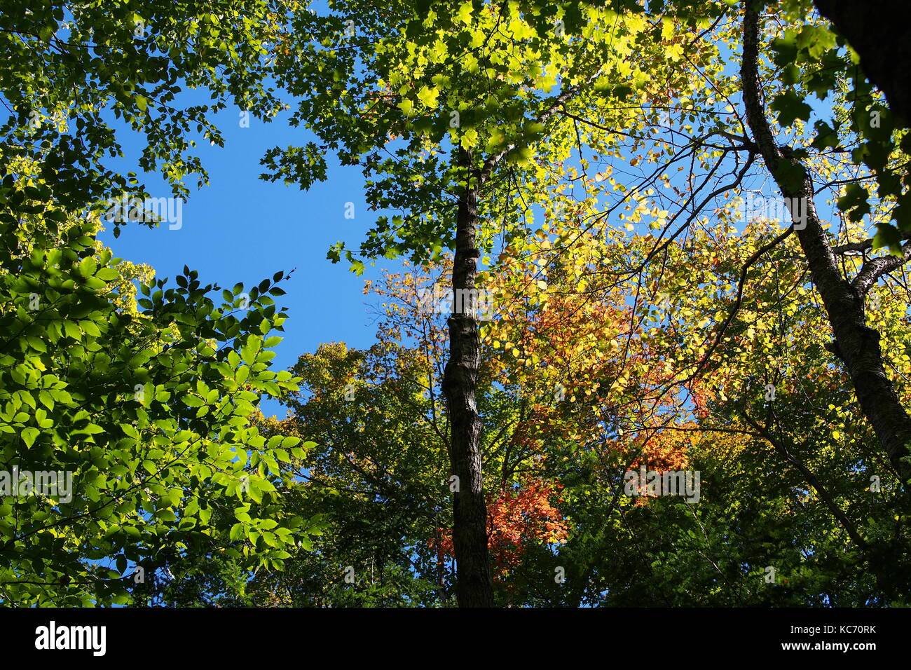 Late Summer Colour High Resolution Stock Photography and Images - Alamy