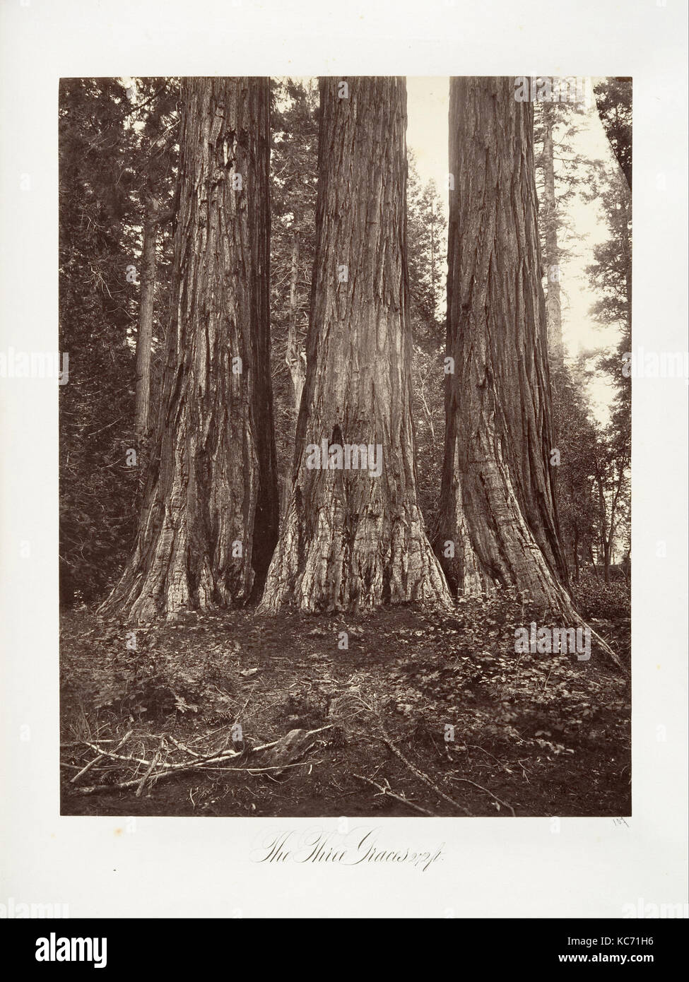 272 feet hi-res stock photography and images - Alamy