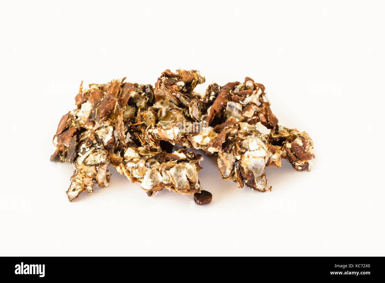 Tamarind pulp (for use in curries Stock Photo - Alamy