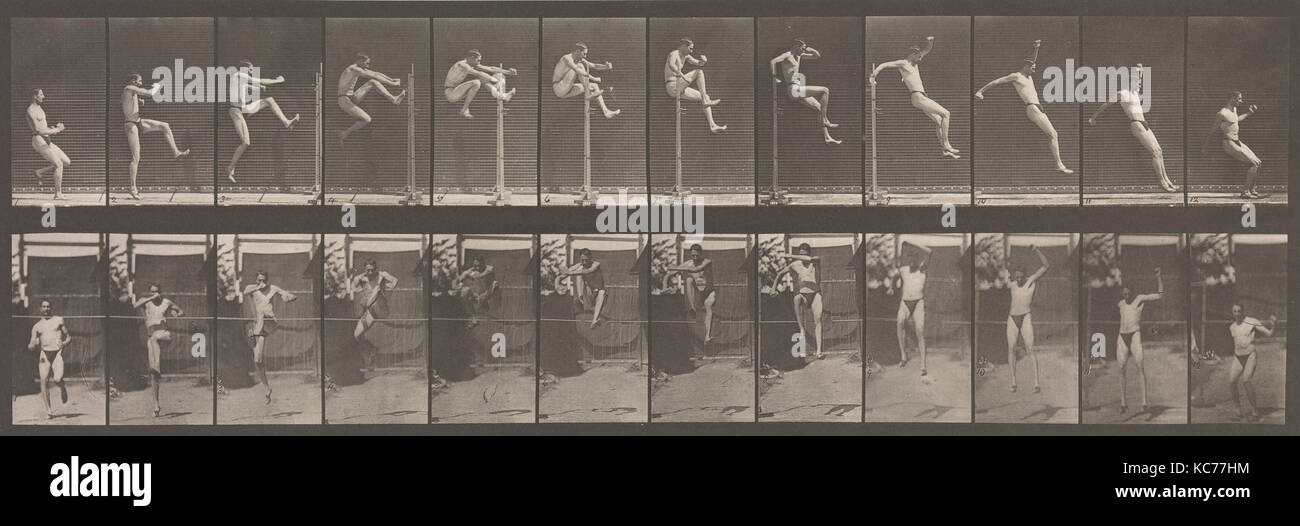 Animal Locomotion. An Electro-Photographic Investigation of Consecutive ...