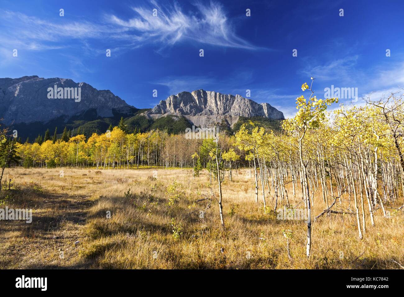 Yamnuska Mountain Peak (Mount John Laurie) Landscape, Prairie Meadow ...