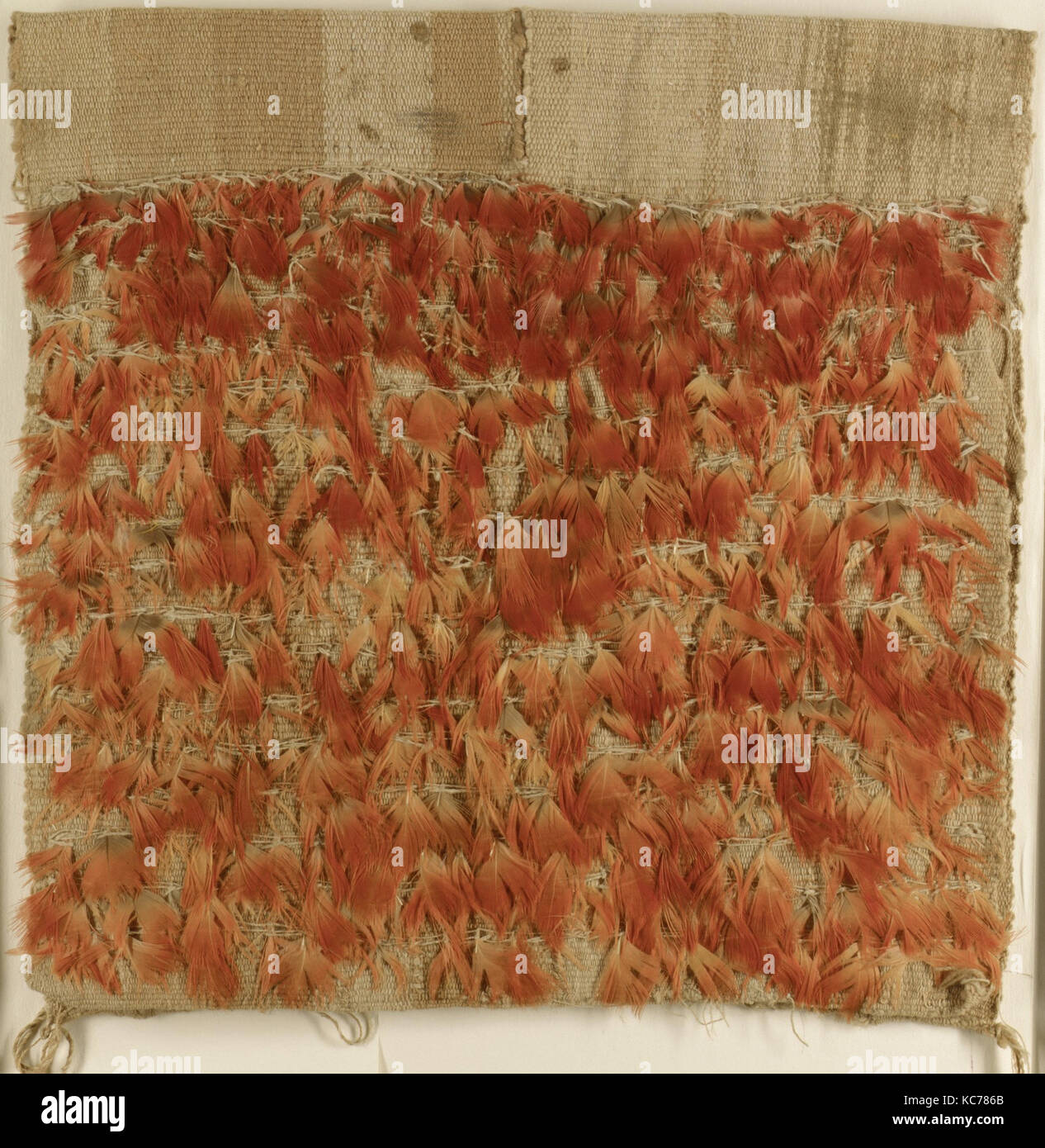 Featherwork hi-res stock photography and images - Alamy