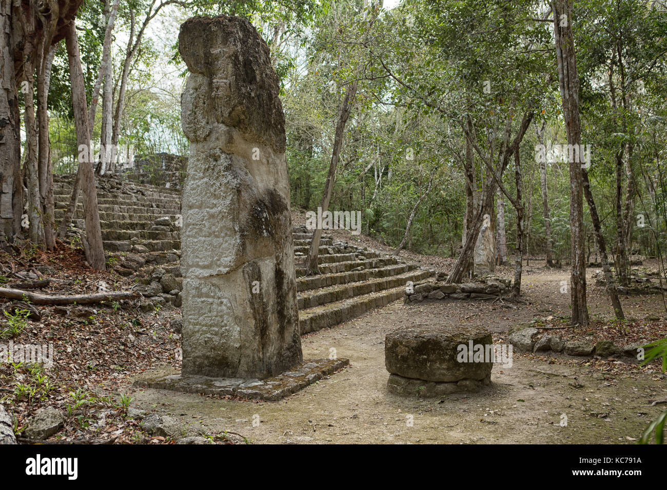 mayan stela with circular shallow rock in front at Calakmul Mexico ...