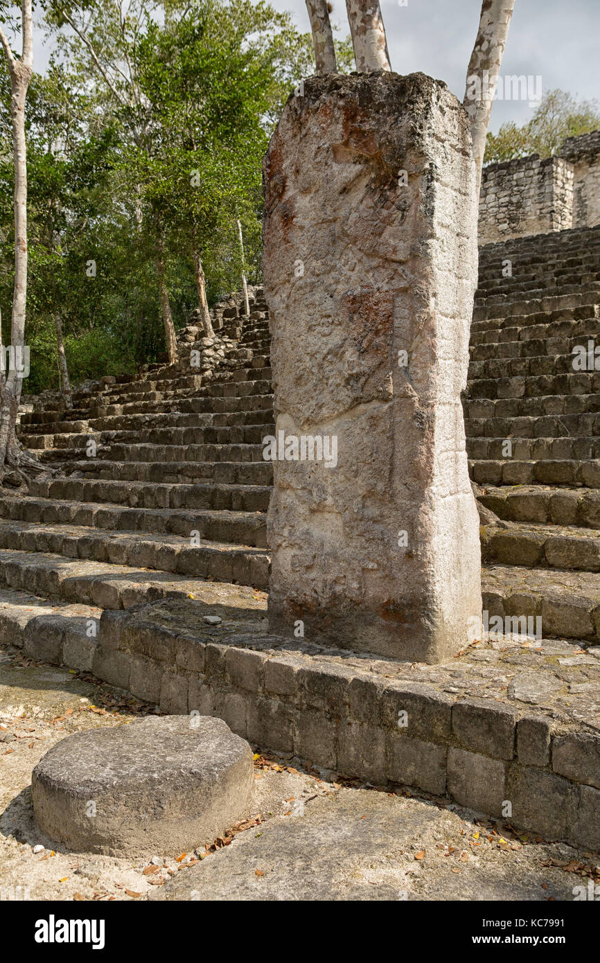 mayan stela with circular shallow rock in front at Calakmul Mexico ...