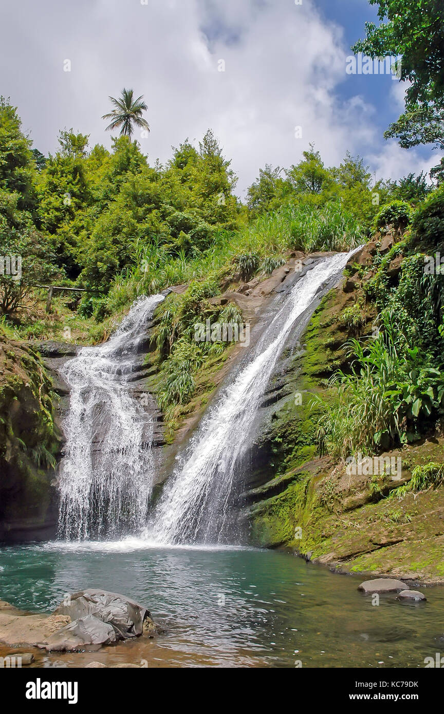 Gouyave hi-res stock photography and images - Alamy