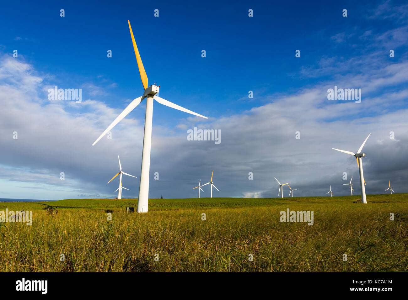 Wind turbines at the Hawi Wind Farm, Upolu Point, Hawi, The Big Island ...