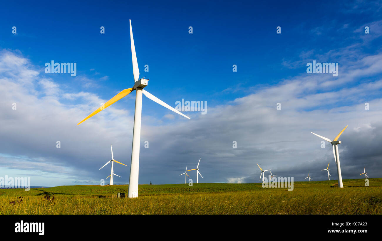 Wind turbines at the Hawi Wind Farm, Upolu Point, Hawi, The Big Island ...