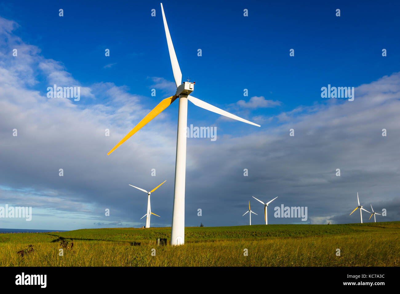 Wind turbines at the Hawi Wind Farm, Upolu Point, Hawi, The Big Island ...