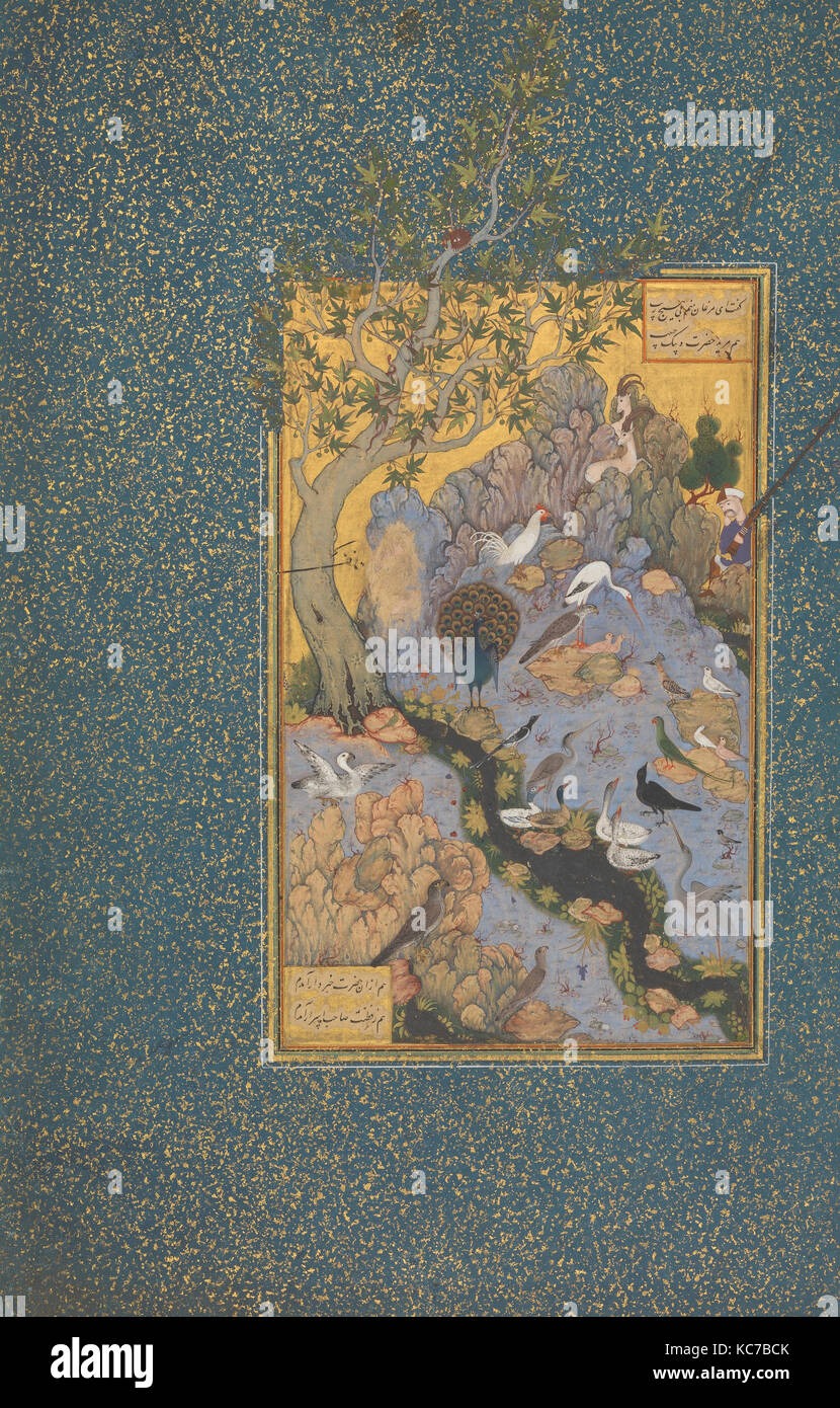 The concourse of birds hi-res stock photography and images - Alamy