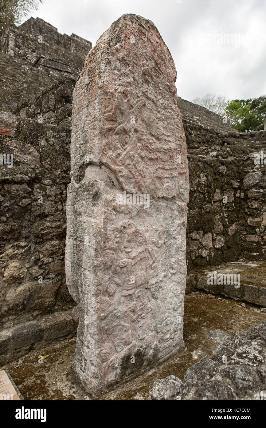 maya stelae at the Calakmul archeological site in Mexico Stock Photo ...