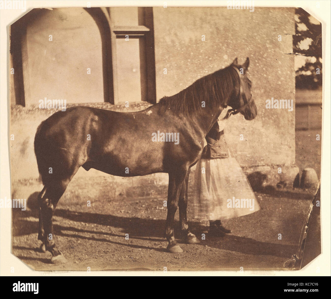 Sultan, mid-1850s, Salted paper print from glass negative, Image: 5 3/4 ...