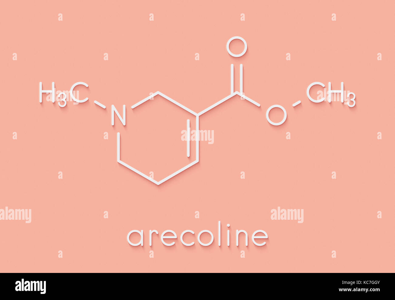 Arecoline areca nut stimulant compound, chemical structure. Skeletal ...