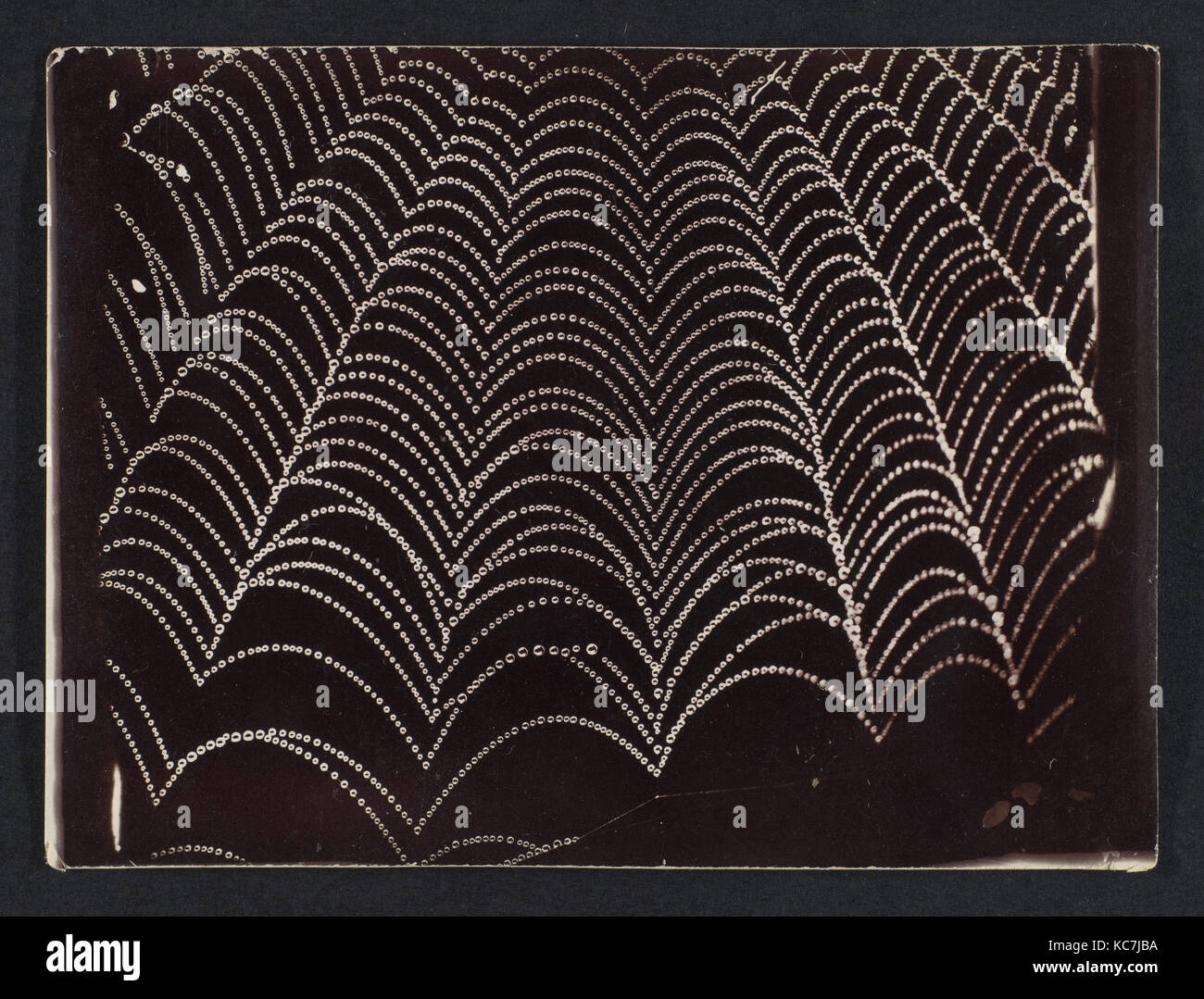 Dew on a Spider Web, Wilson Alwyn Bentley, ca. 1910 Stock Photo - Alamy