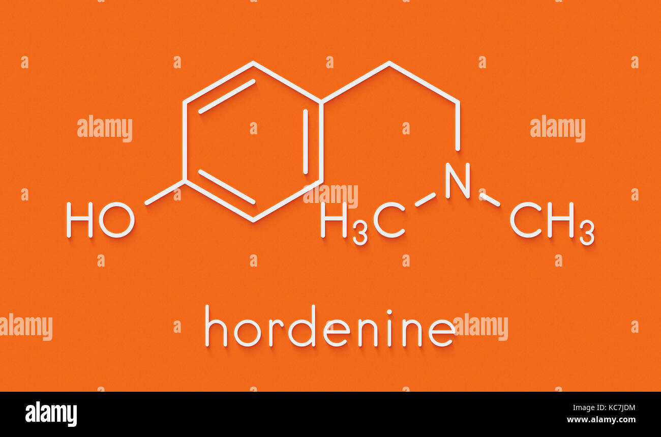 Hordenine (dimethyltyramine) stimulant molecule, chemical structure ...