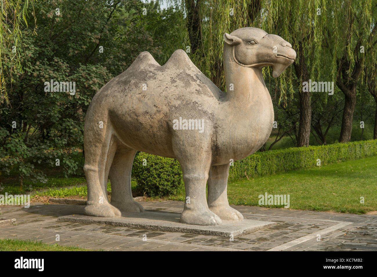 Standing Camel on Sacred Road to Ming Tombs, Changping, China Stock ...