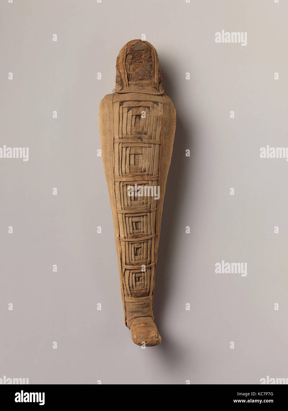 Sacred animal mummy in the form of a falcon, ca. 400 B.C.–100 A.D Stock ...