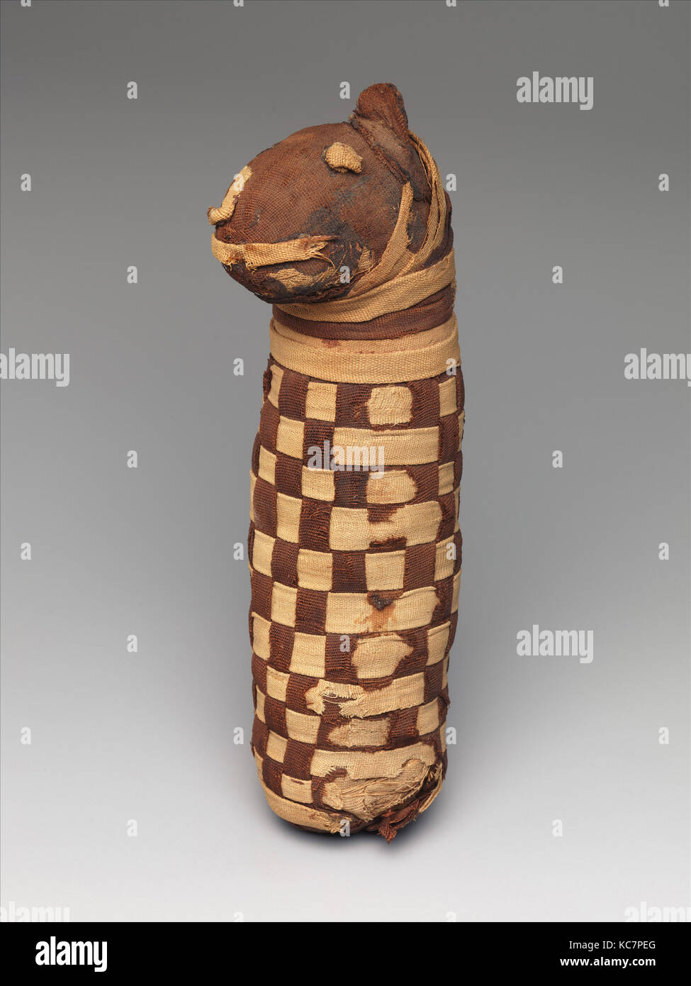 Mummifed bones hi-res stock photography and images - Alamy
