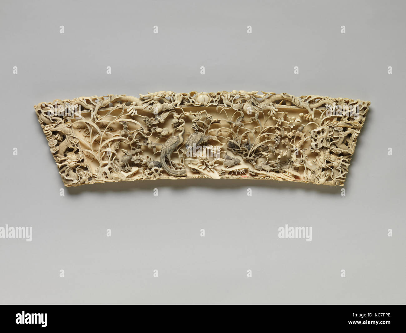 Pheasant claws hi-res stock photography and images - Alamy