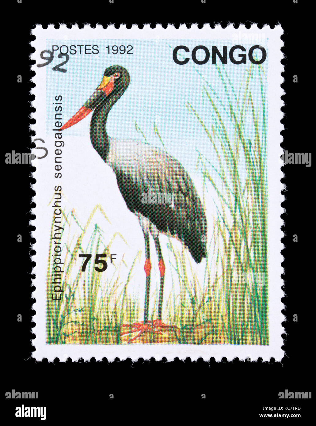 Postage stamp from Congo depicting a saddle-billed stork ...
