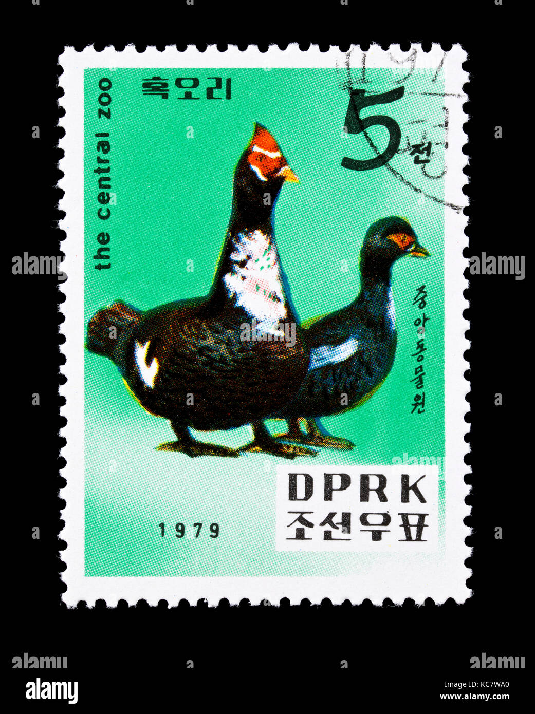 Postage stamp from North Korea depicting Muscovy ducks, issued for the ...