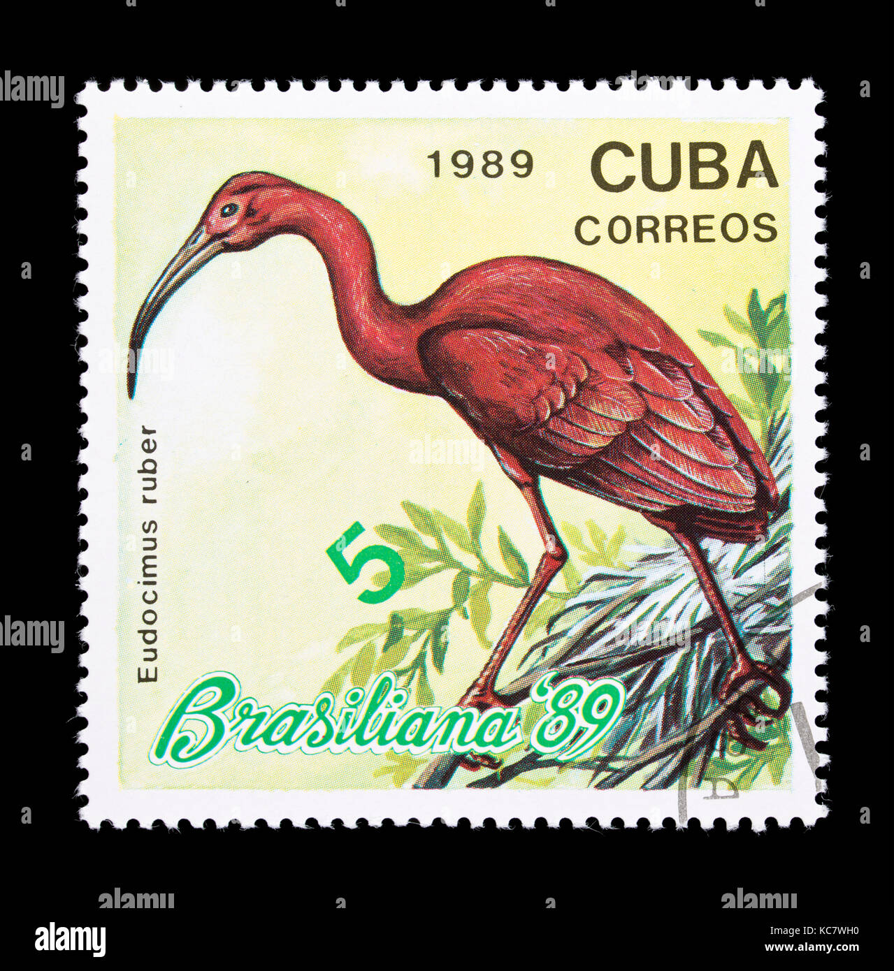 Postage stamp from Cuba depicting a scarlet ibis (Eudocimus ruber Stock ...
