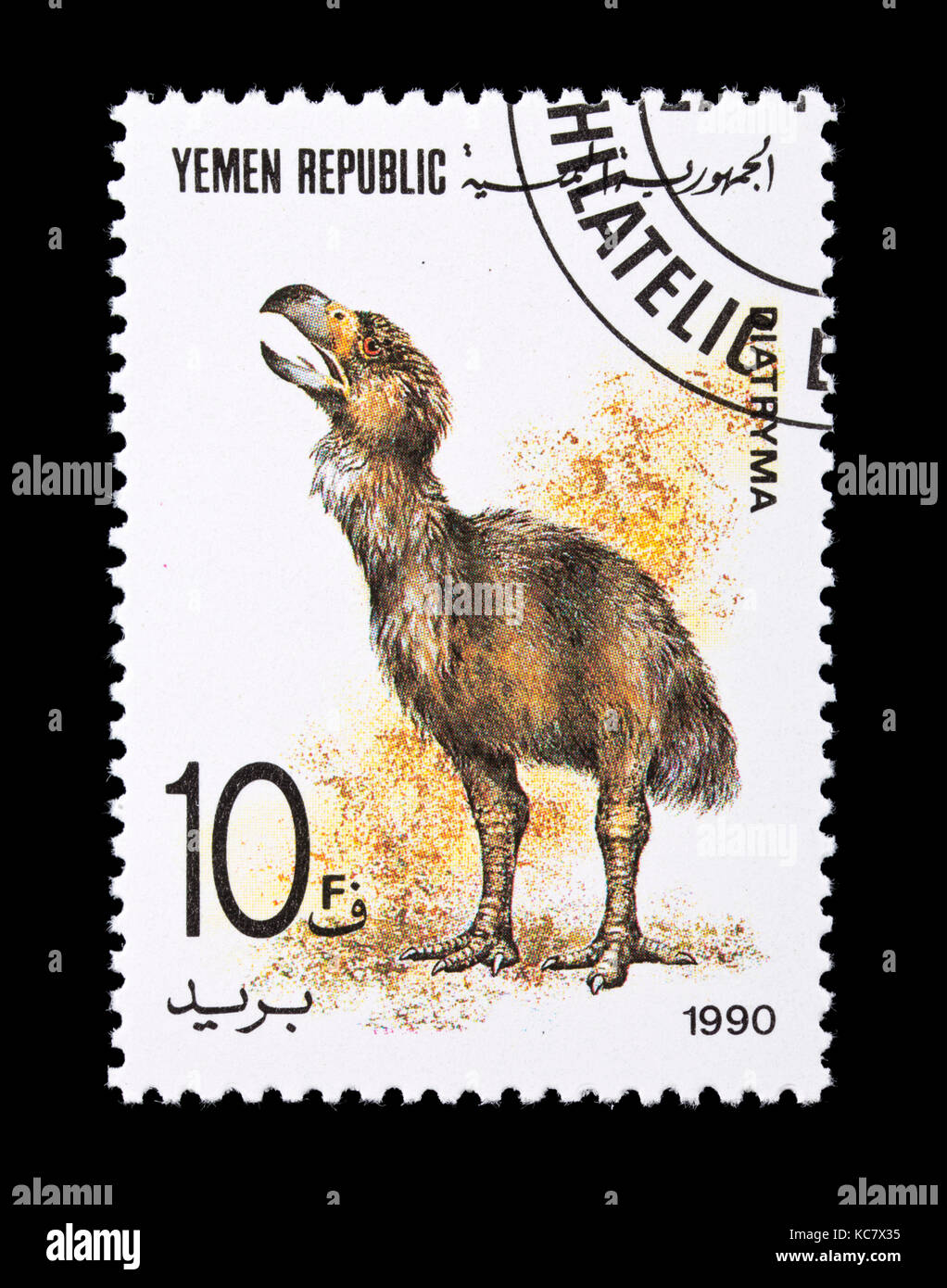 Diatryma High Resolution Stock Photography and Images - Alamy