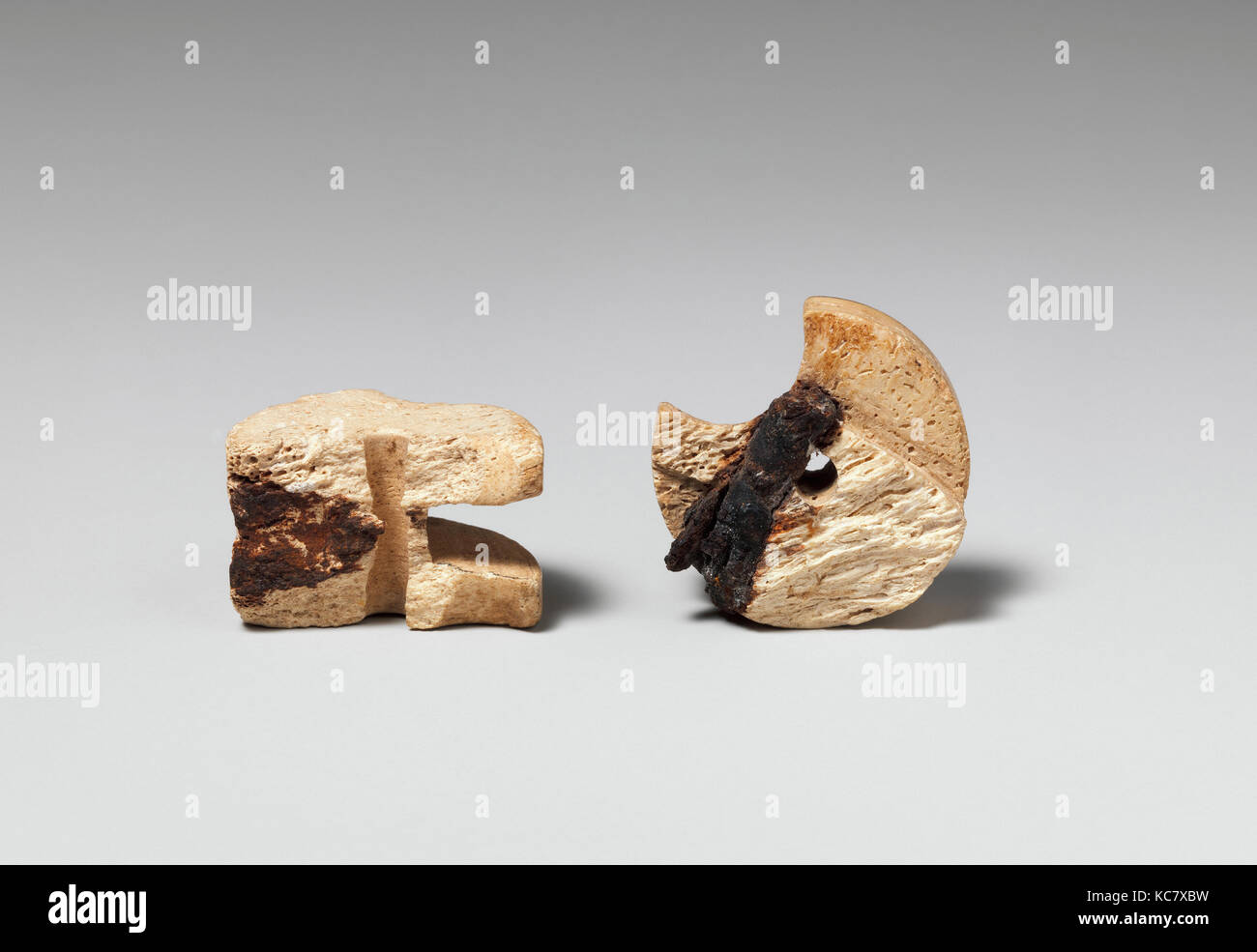 Two crossbow nuts hi-res stock photography and images - Alamy