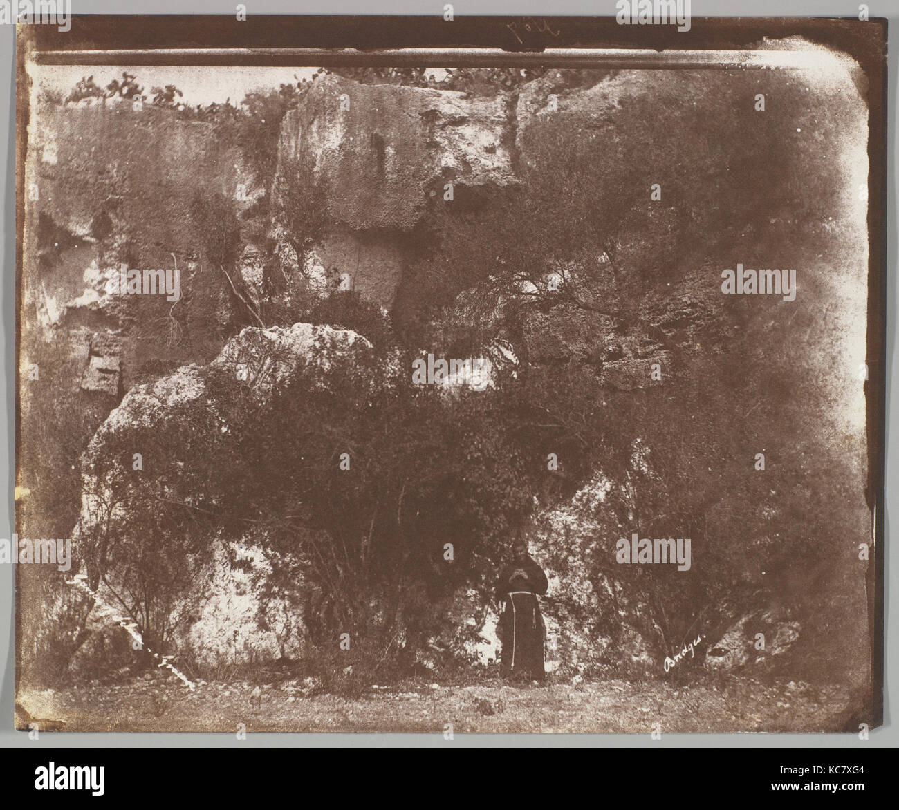 Selvia hi-res stock photography and images - Alamy