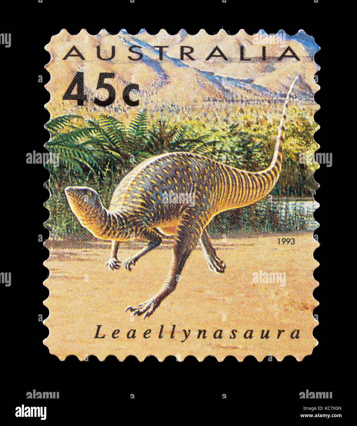 Leaellyns lizard hi-res stock photography and images - Alamy