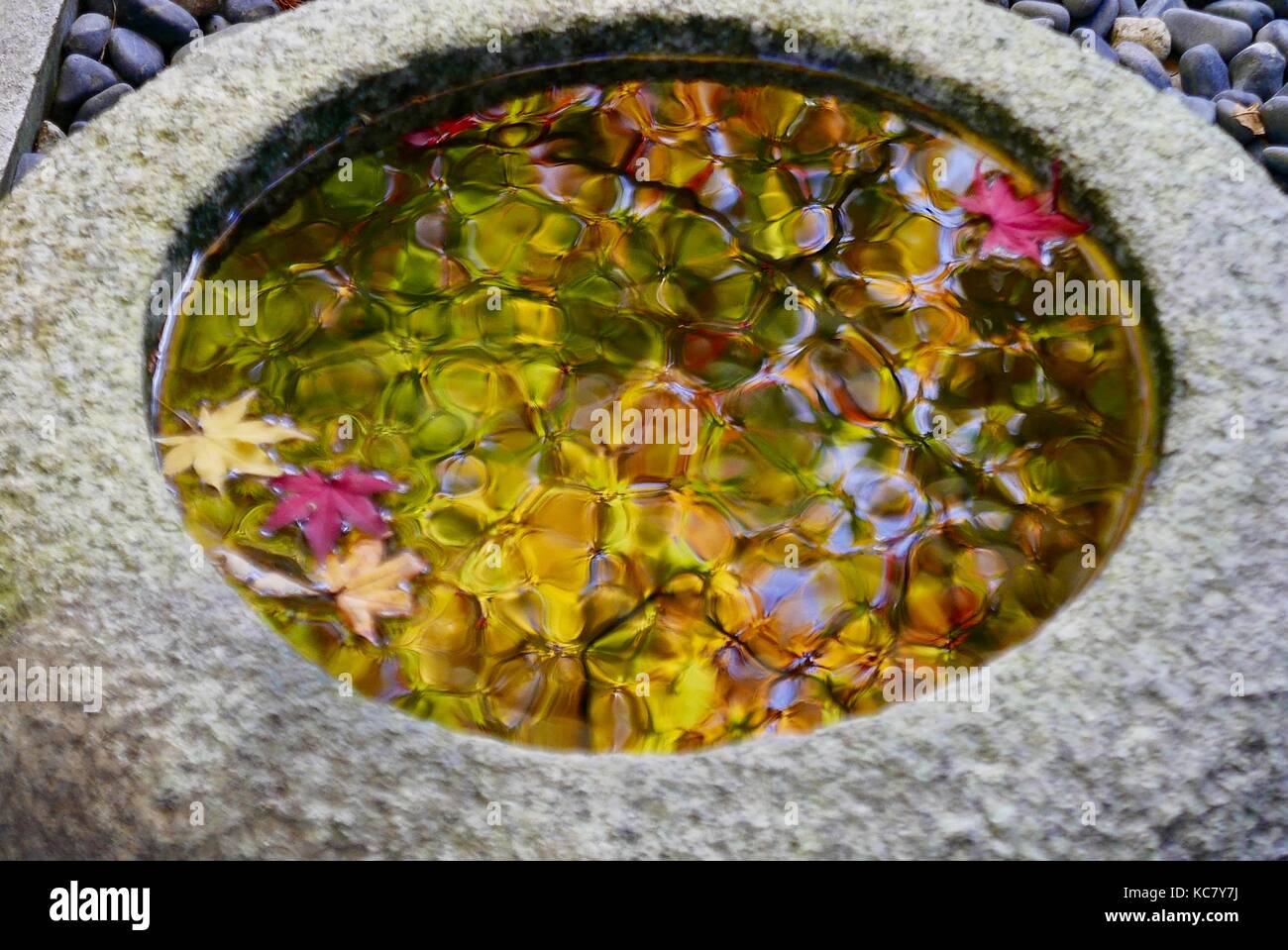Autumn reflection in water bowl Stock Photo - Alamy