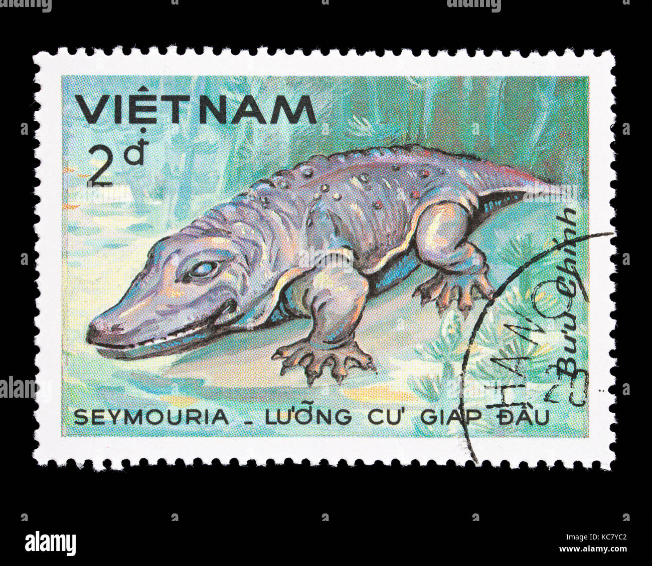 Seymouria hi-res stock photography and images - Alamy