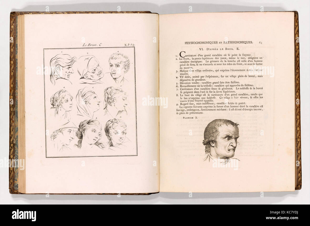 Physiognomy hi-res stock photography and images - Alamy