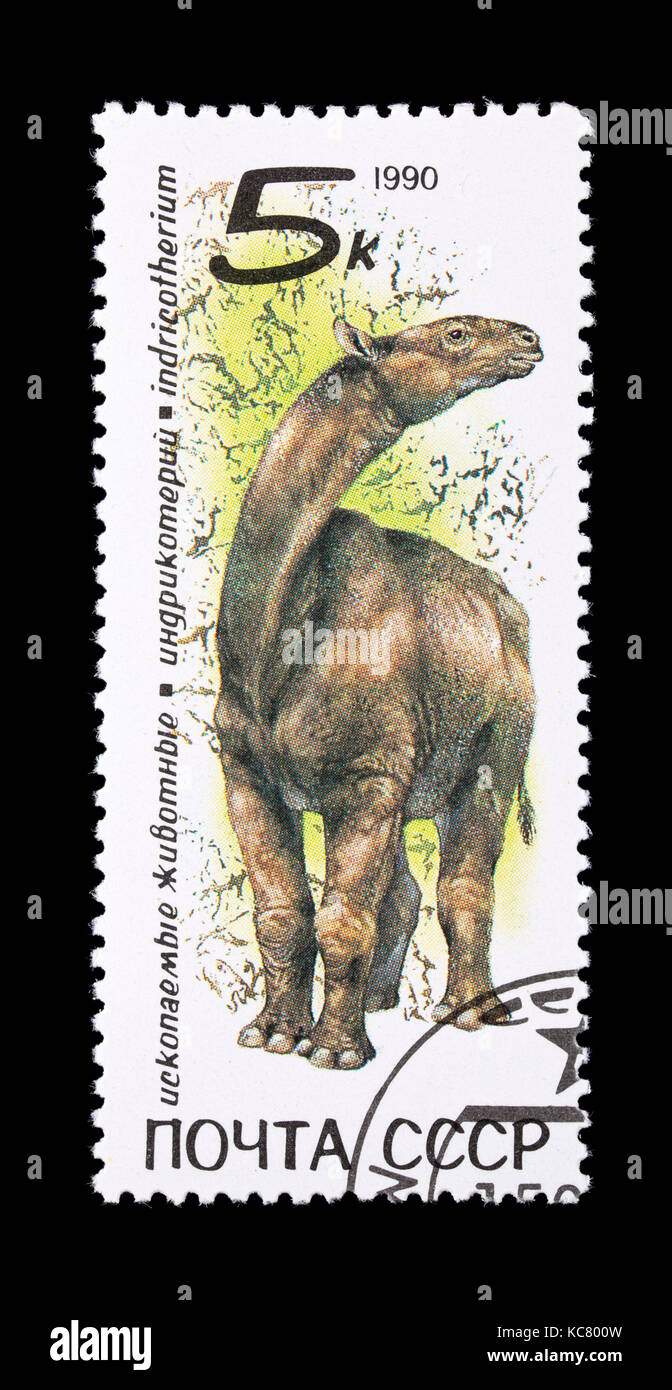 POstage stamp from the Soviet Union depicting an extinct Indricotherium ...