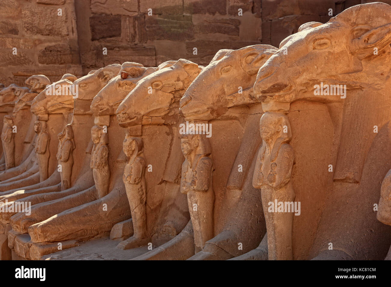Luxor, Karnak Temple, Aries figures, part of the temple complex at ...