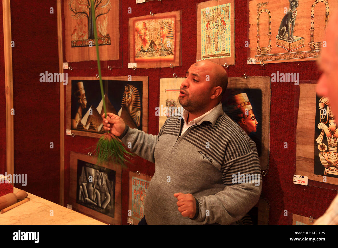 Luxor, Egypt, Papyrus, demonstration of production of papyrus, Papyrus ...