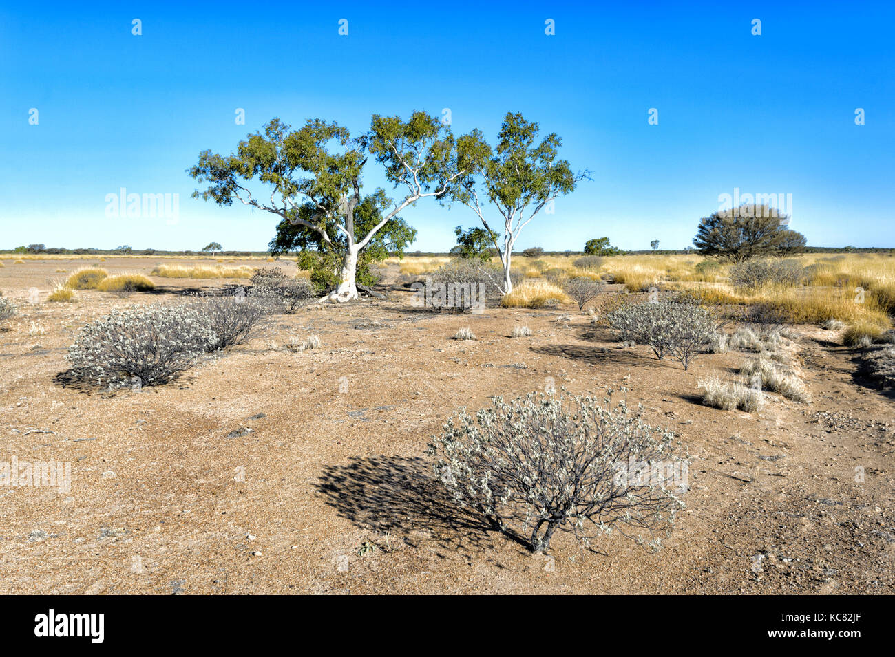 Drought in the Outback near Winton, Central West Queensland, QLD ...