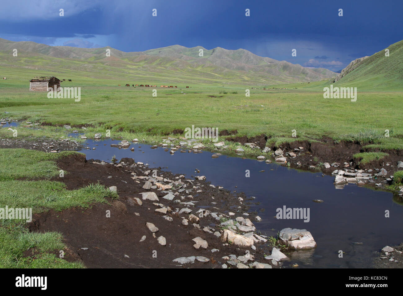 River in the mongolian steppe Stock Photo - Alamy